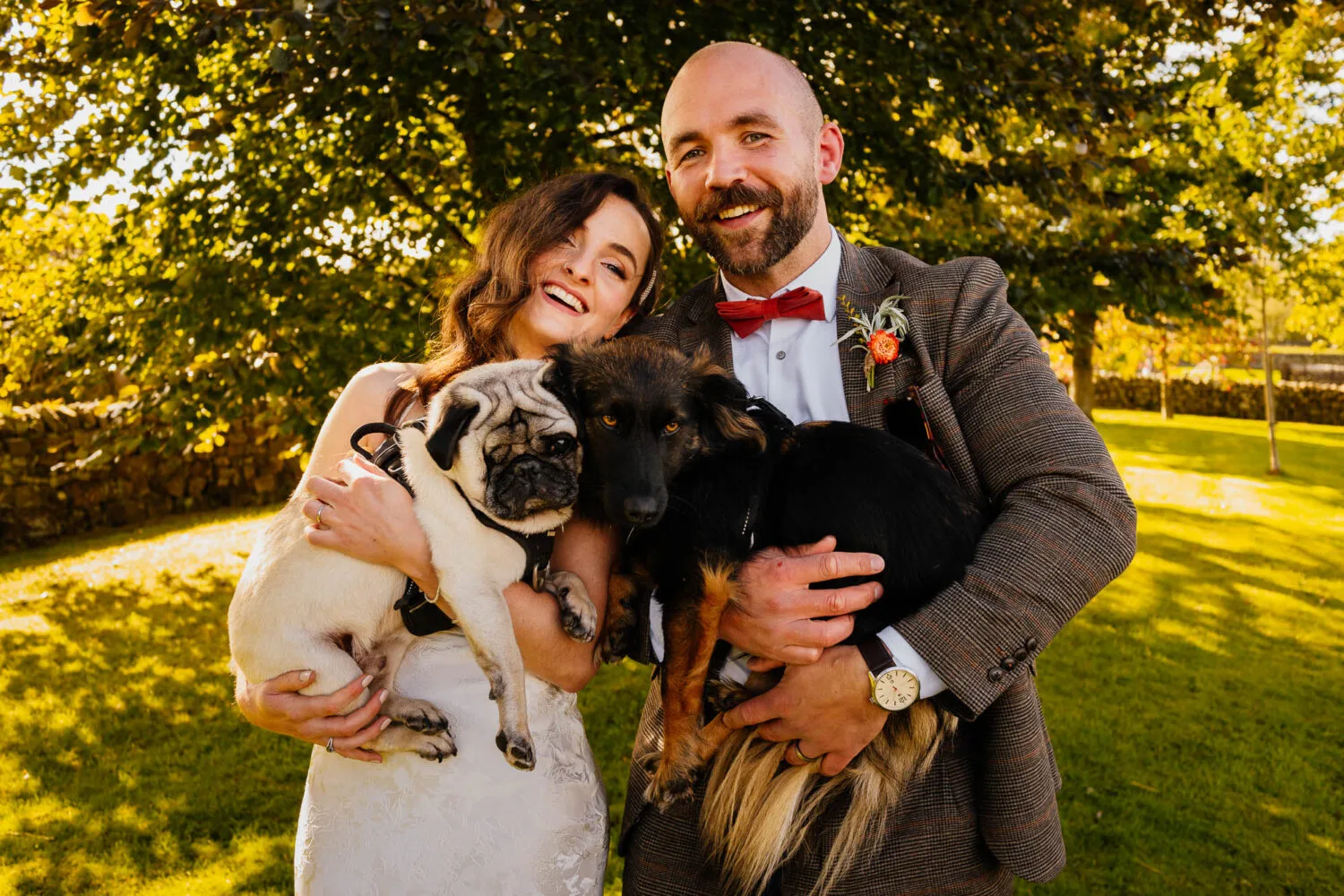 Dogs at Weddings: The Guide to Cute Dog Photos at Your Wedding