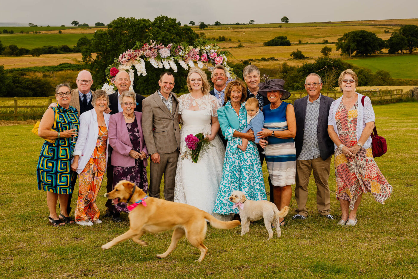 Dogs at Weddings: The Guide to Cute Dog Photos at Your Wedding
